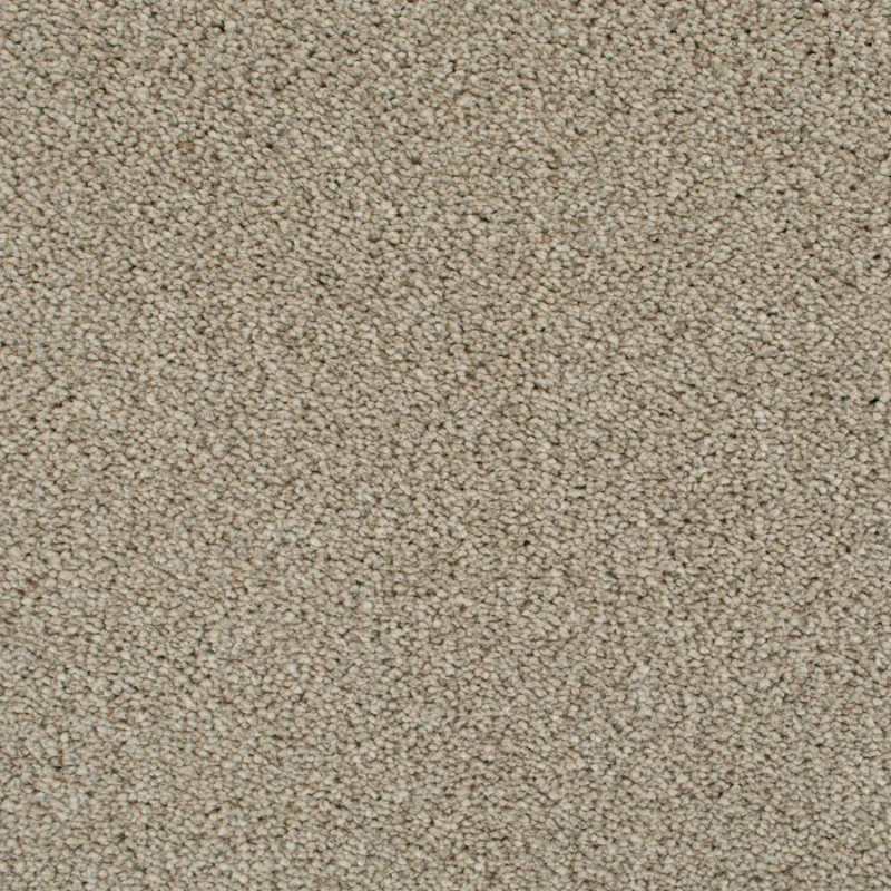 Cassius 70oz Invictus Carpet | Buy Invictus Carpets Online